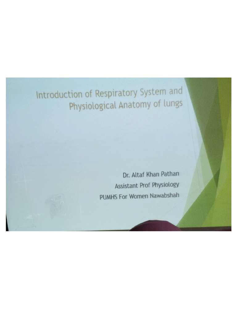 Introduction Of Respiratory System Physiology Pdf