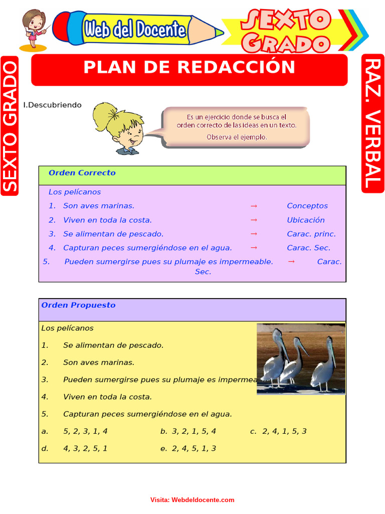 Plan de Redacción para Sexto Grado de Primaria | PDF | Serpiente | Euclides