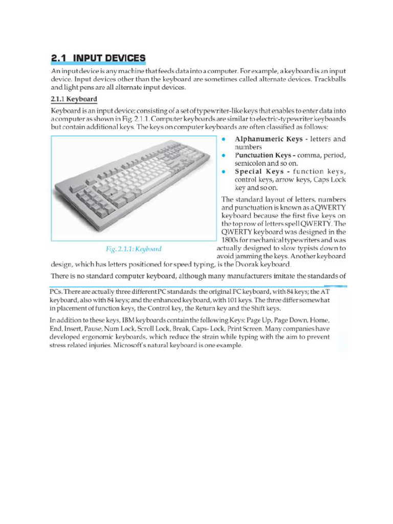 Computer Input Devices | PDF