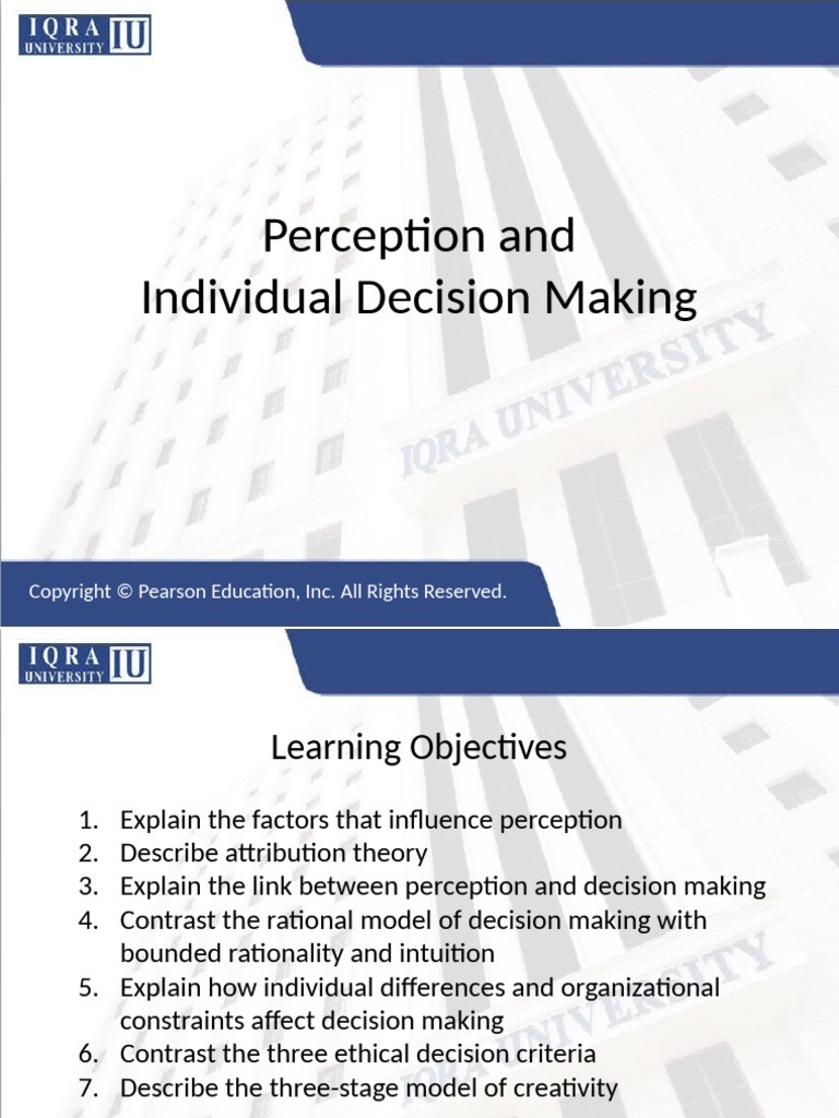 6 Perception and Individual Decision Making | PDF | Decision Making ...