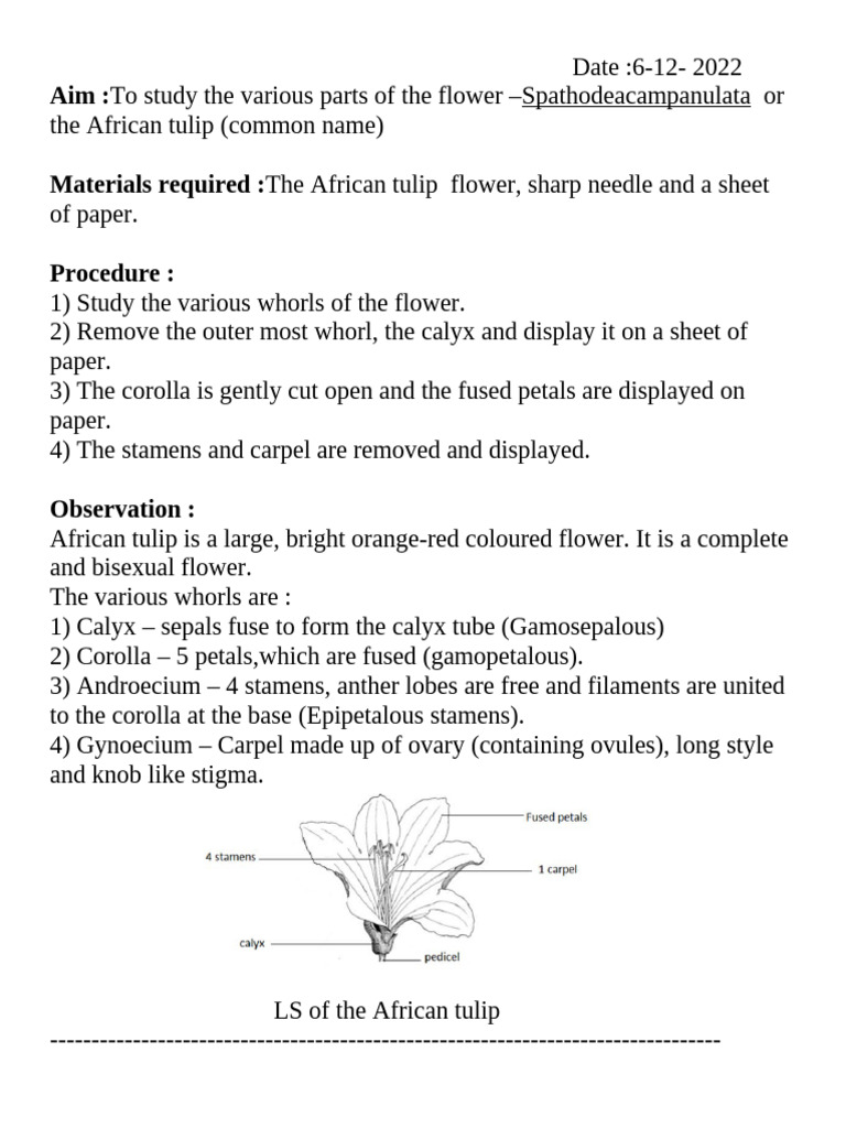 Flower Dissection | PDF