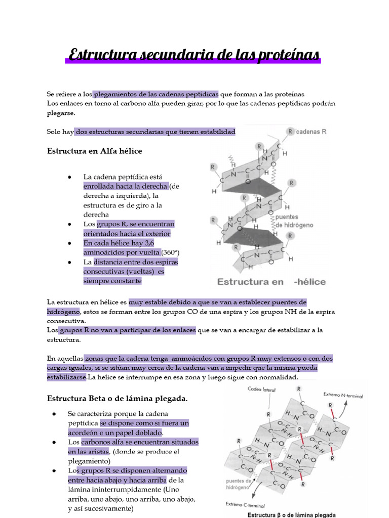 Estructura Secundaria de Proteínas | PDF