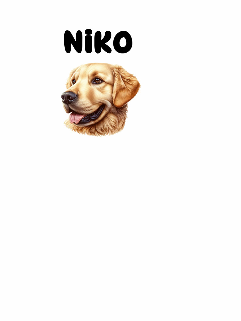 Niko | PDF