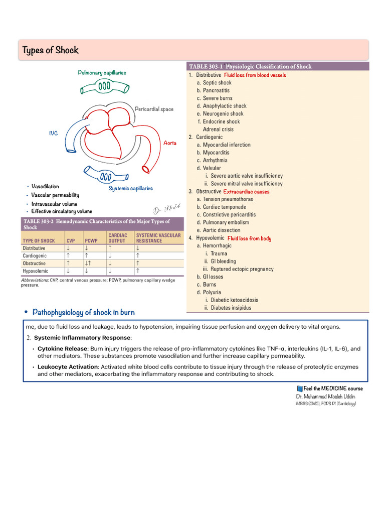 Pathophysiology of Shock in Burns | PDF