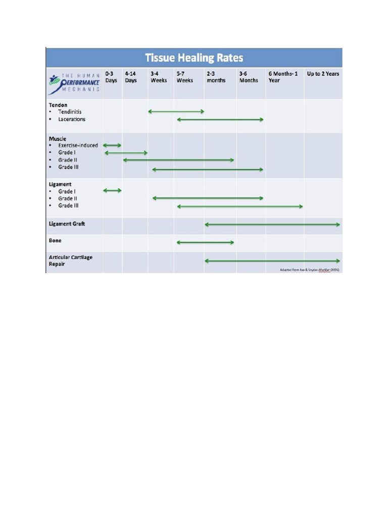 Tissue Healing Rates | PDF