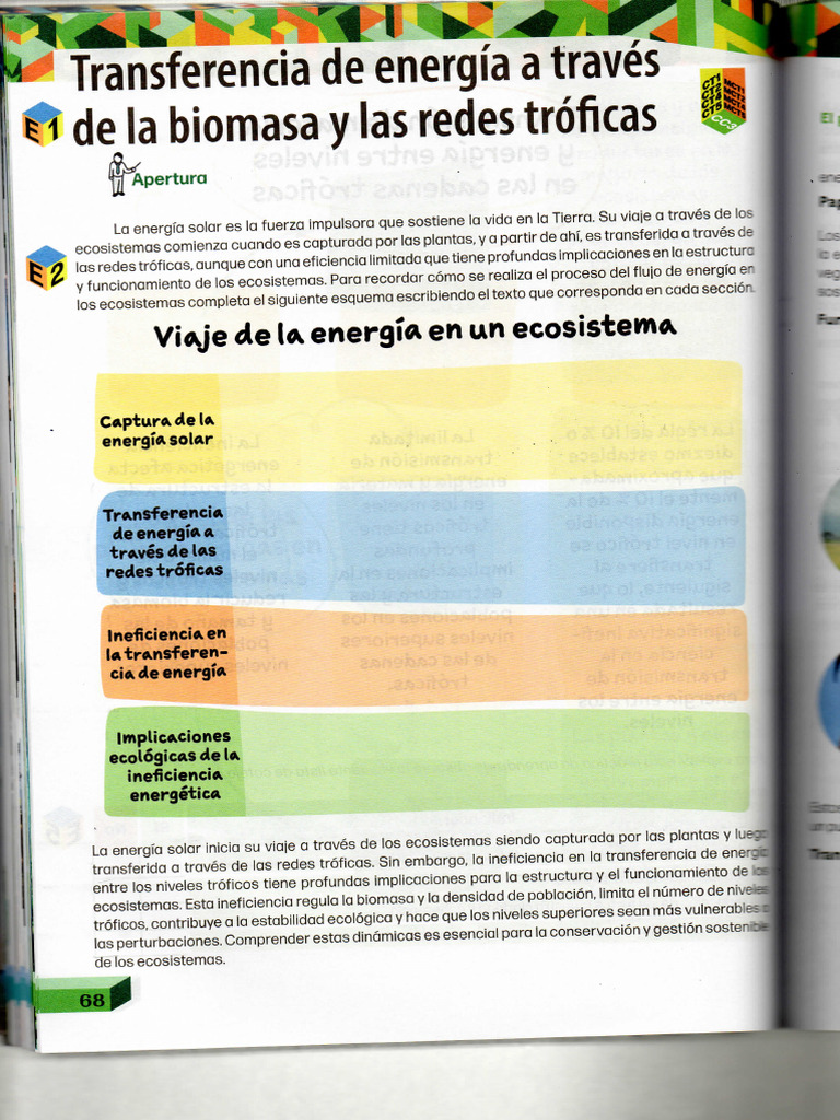 Transferencia de Energía A Través de La Biomasa y Las Redes Tróficas | PDF