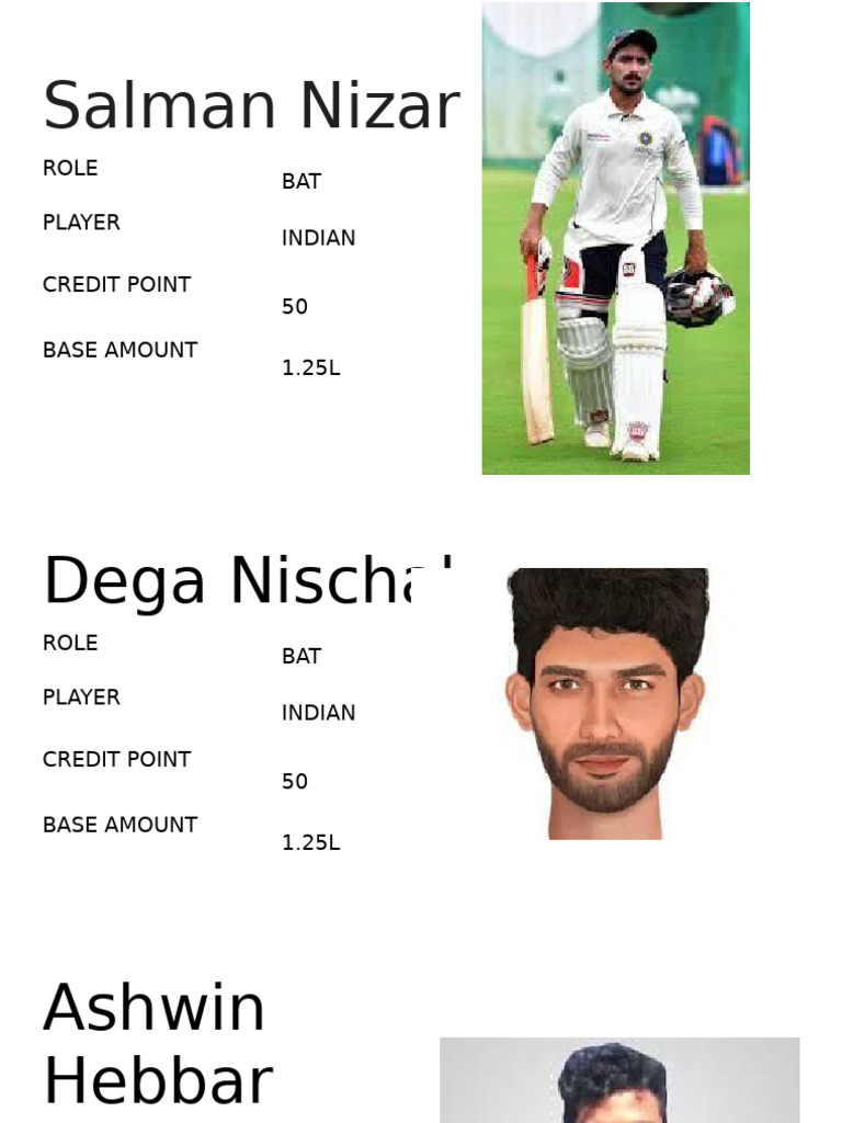 Ipl Bat Indian Finished | PDF