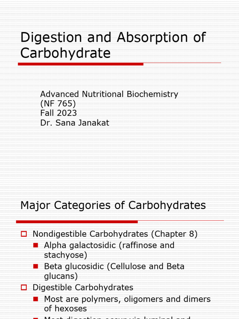 Carbohydrate Digestion and Absorption Guide | PDF | Digestion | Starch
