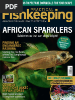 AqAdvisor - Intelligent Freshwater Tropical Fish Aquarium Stocking ...