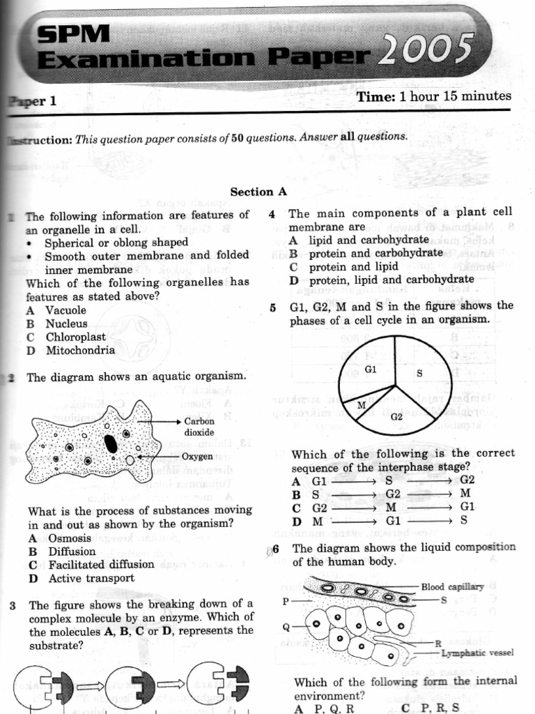 SPM 4551 2005 Biology k1 | PDF | Tissue (Biology) | Photosynthesis