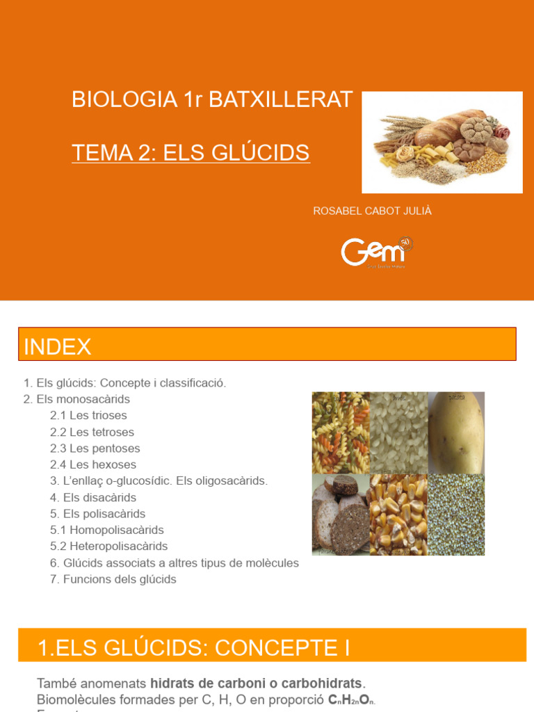 Els glúcids | PDF