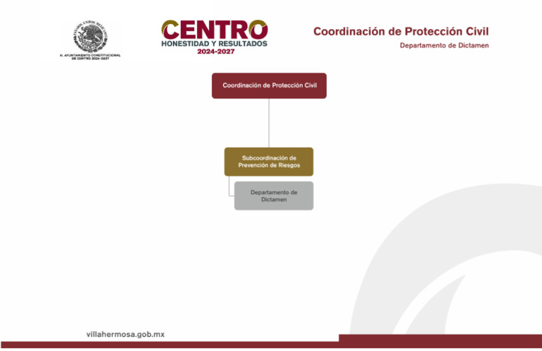 Organigramas Protección Civil- Dictamen | PDF