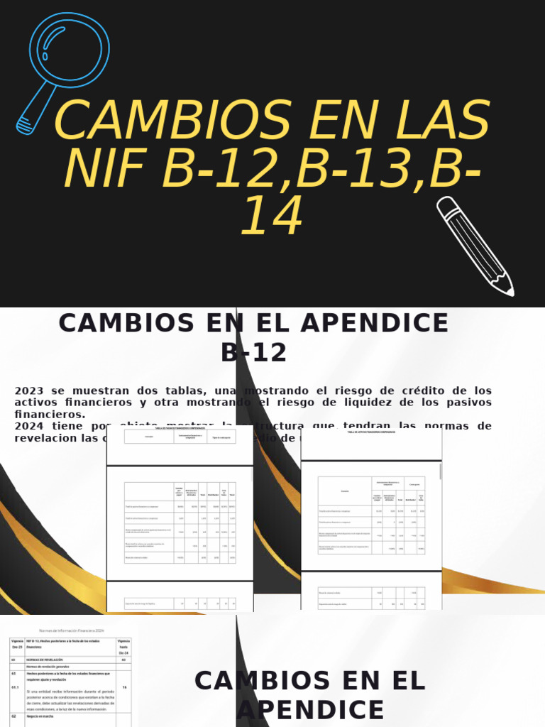 CAMBIOS NIF 2024 | PDF