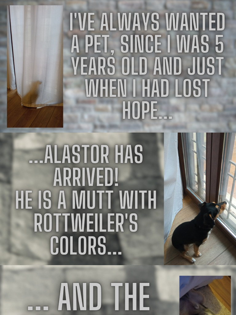 Alastor My Dog 20250126 161259 0000 041656 | PDF