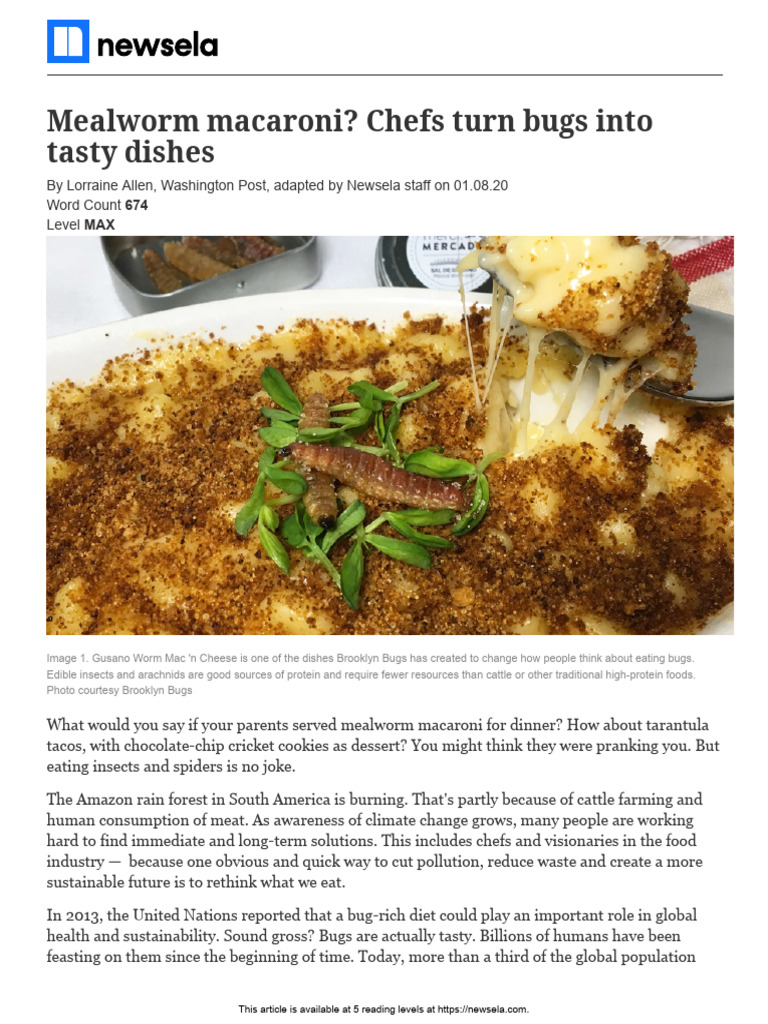 Bug Food | PDF | Insects | Foods