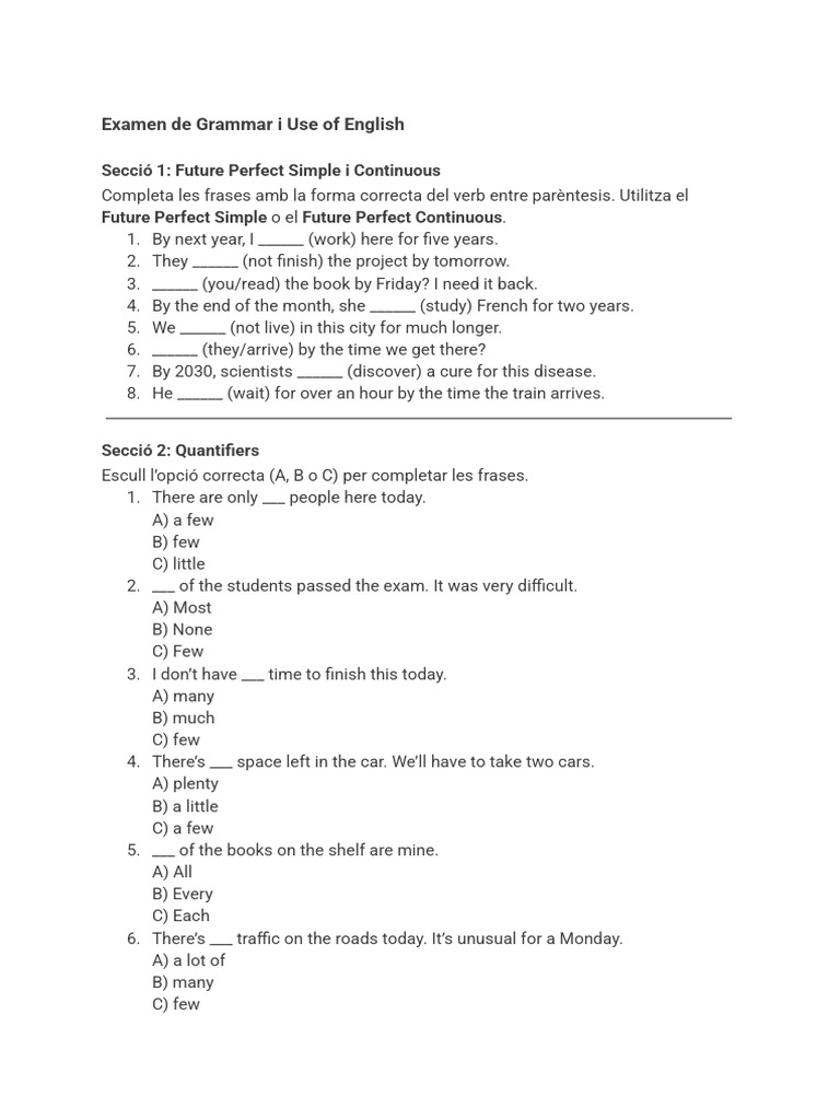 English Grammar and Vocabulary Exam Guide | PDF