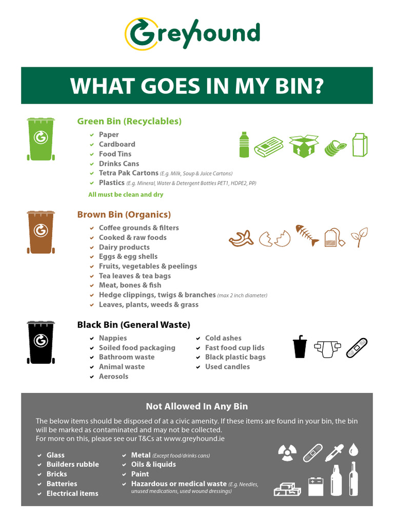 What Goes in My Bin | PDF