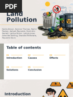 Geography (Land Pollution) Project | PDF
