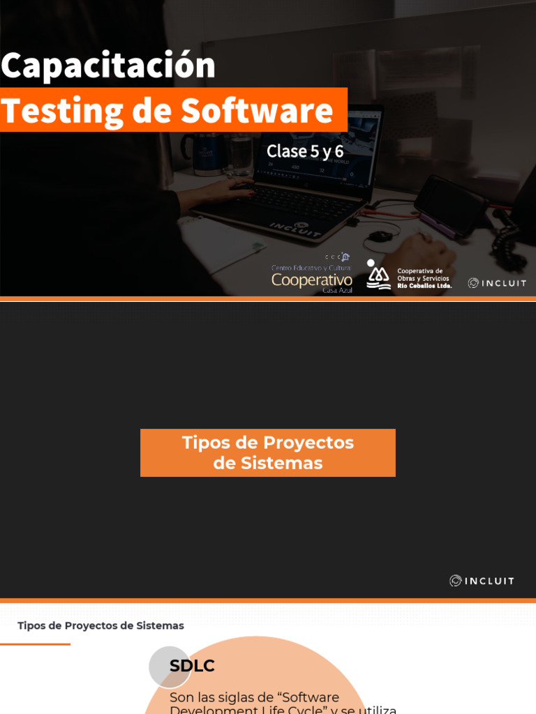 Tipos de Proyectos de Sistemas y Pruebas | PDF | Software | Ingeniería ...