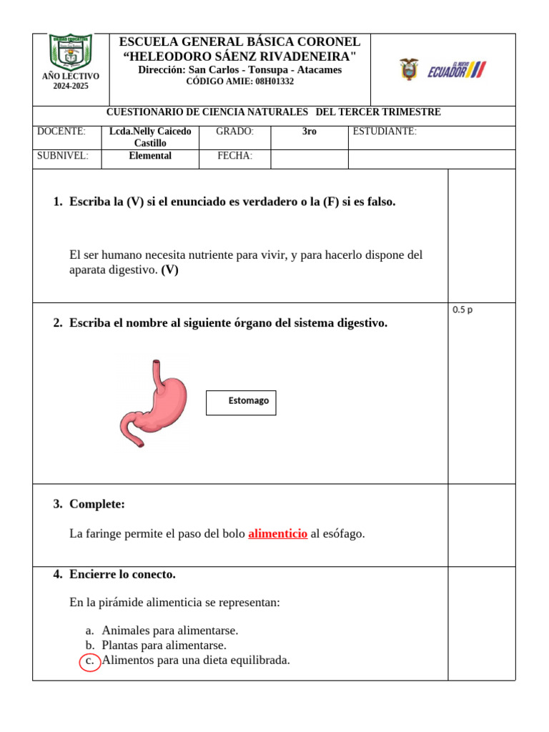 Cuestionario CCNN 3T | PDF | Vertebrados | Alimentos