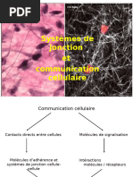 Types de jonctions cellulaires expliqués | PDF | Biologie cellulaire ...