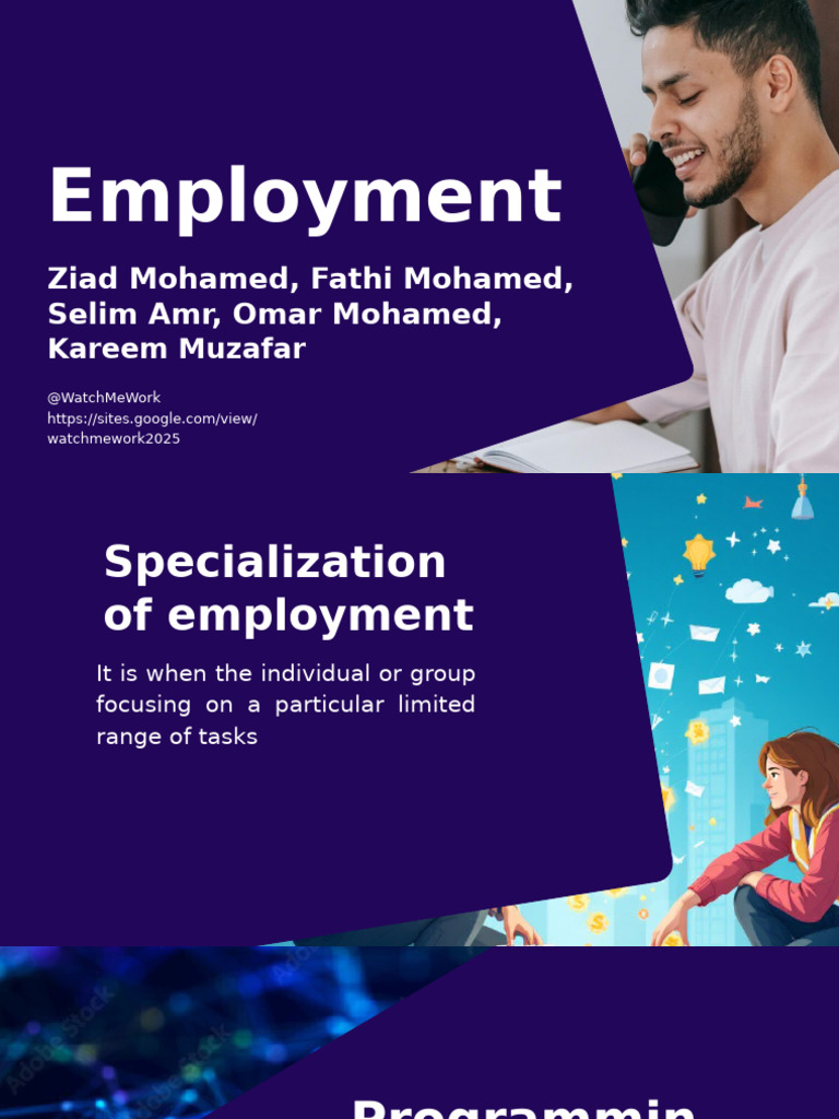 Employment Presentation | PDF | Computer Programming | Cognition
