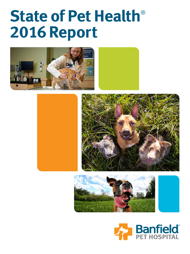 Banfield State of Pet Health Report 2016 | PDF | Pet | Dogs