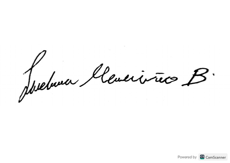 Firma CS 12-03-2025 08.21 | PDF