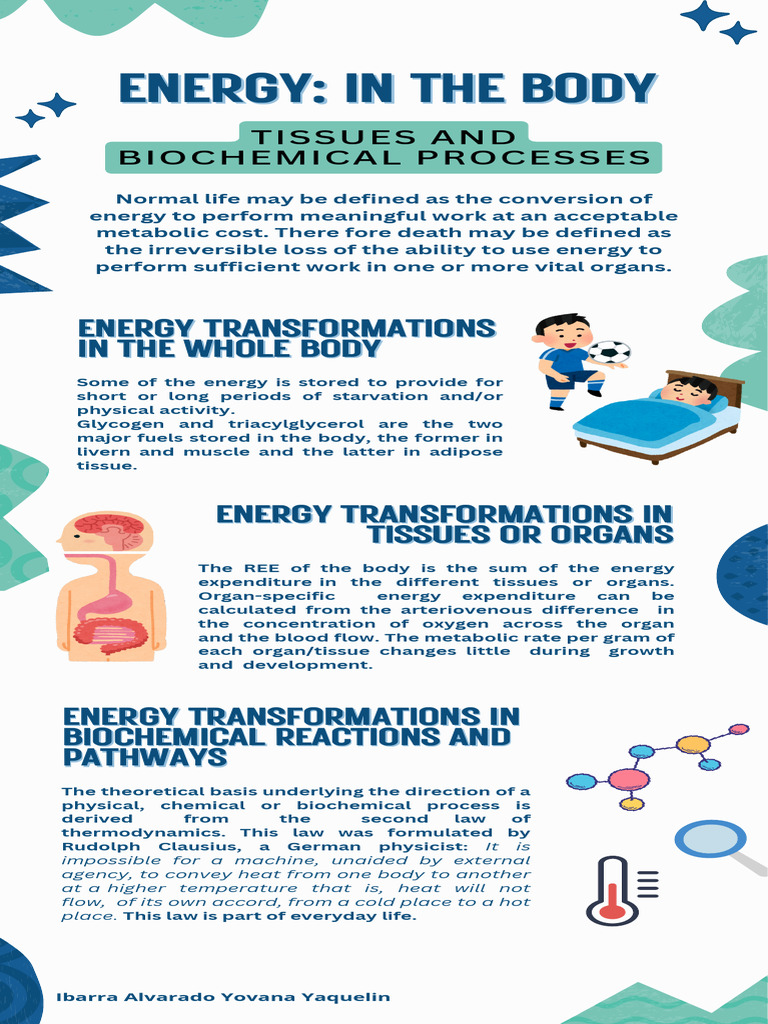 Energy Transformations in the Body | PDF