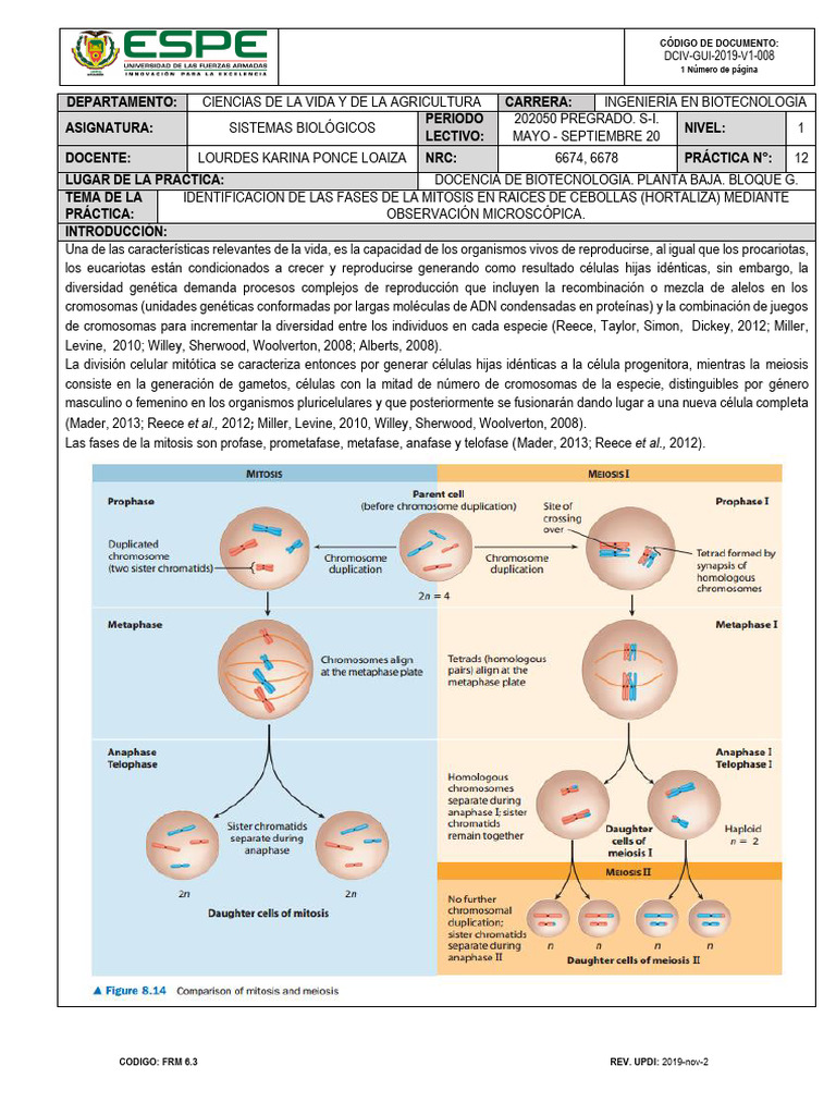 GUÍA_LAB_SIST_BIOLÓG_MITOSIS_202050 | PDF | Biología Celular) | Mitosis