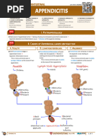 Abdominal Exam Techniques for Appendicitis | PDF