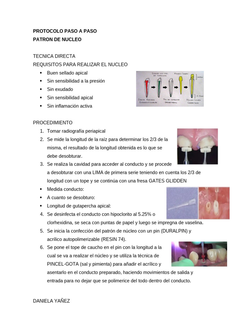 Protocolo Patron de Núcleo | PDF