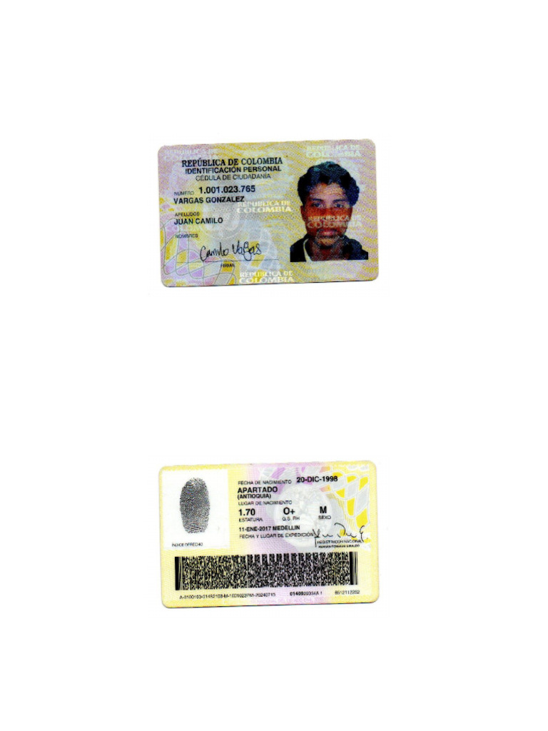 Documento Juan Camilo | PDF