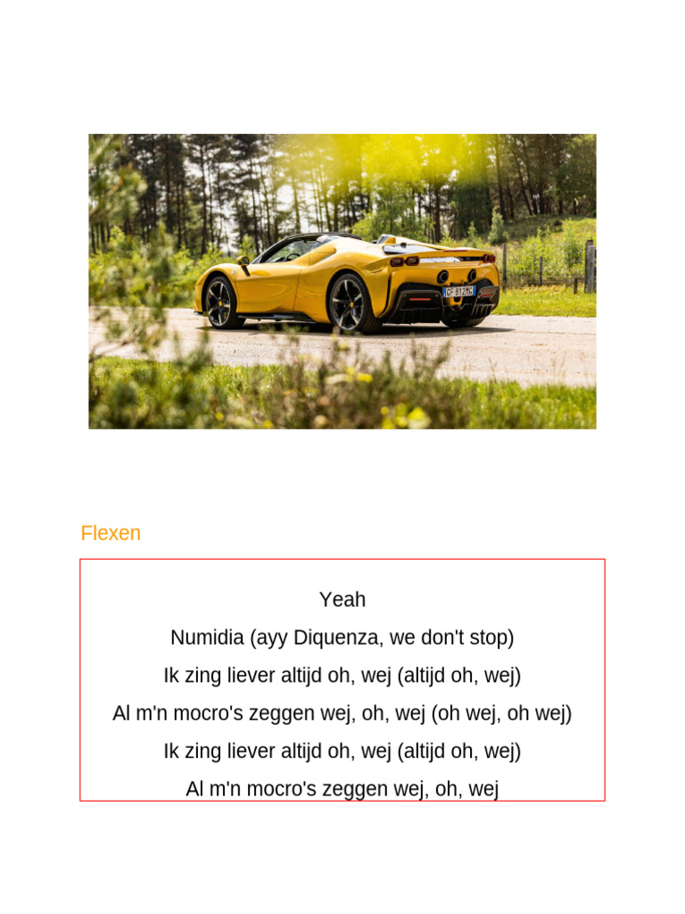 Naamloos Document | PDF