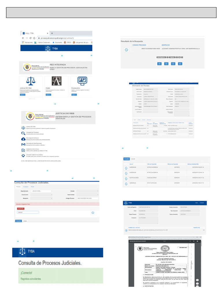 Descargar Tyba PDF | PDF