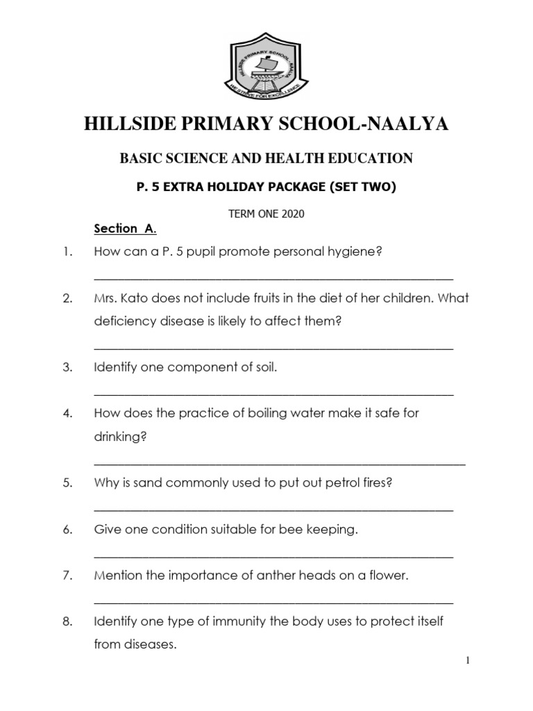 Hillside Primary School Naalya Basic Sci | PDF | Seedling