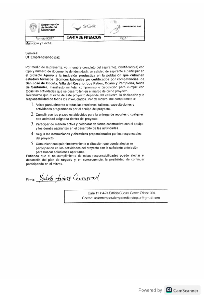 Carta de Intencion | PDF