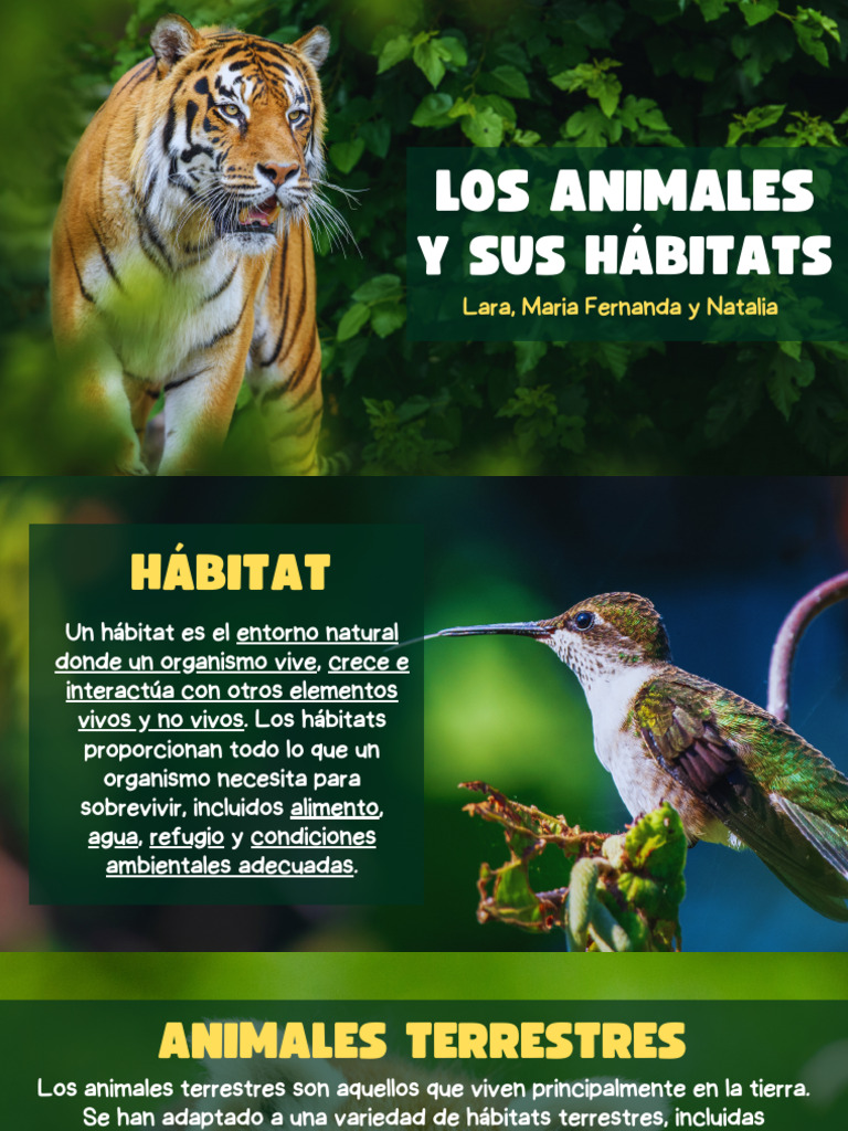 Hábitats y Adaptaciones de Animales | PDF