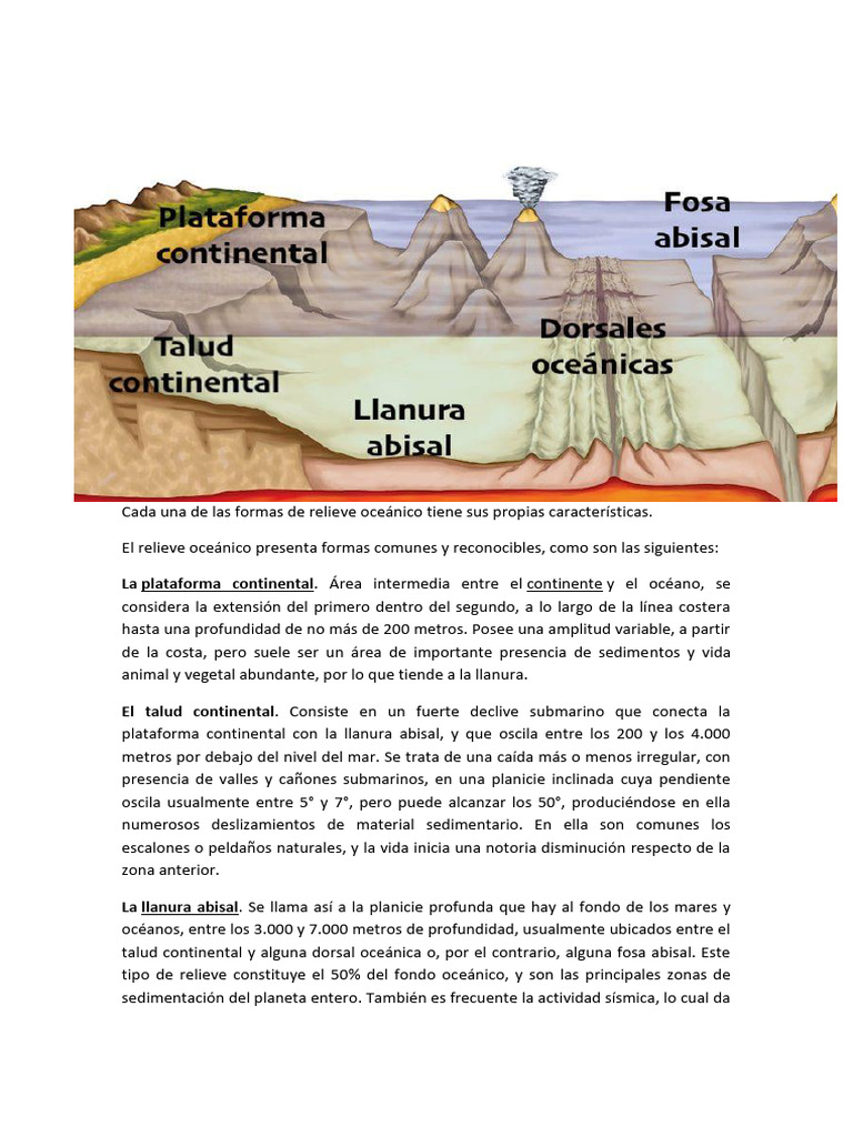 PDF 1 - Formas Del Relieve Oceánico | PDF | Fondo del mar | Terreno