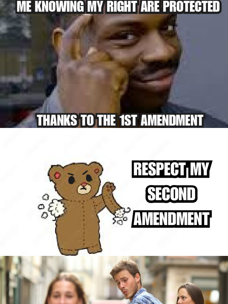 Respect My Second Amendment PDF | PDF