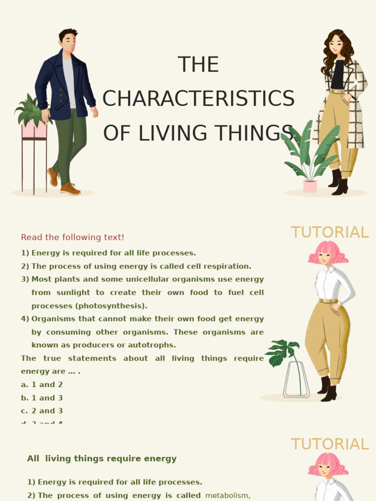 Characteristics of Living Things Explained | PDF | Biology