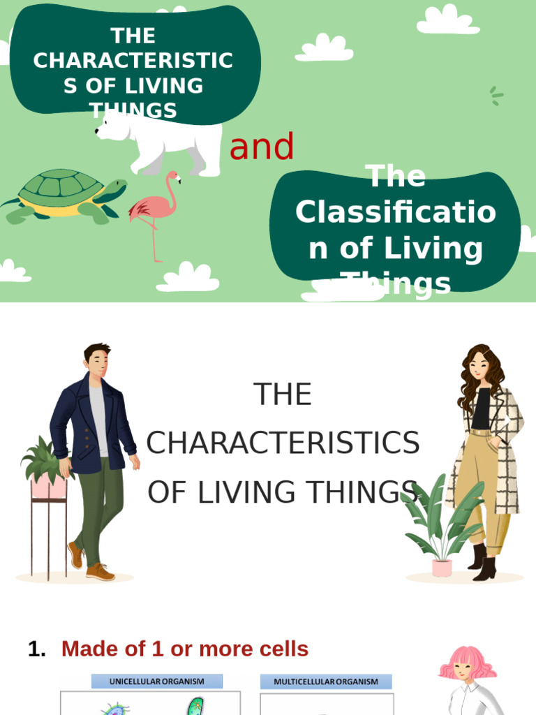 Literacy of Classification of Living Things | PDF | Cell (Biology ...