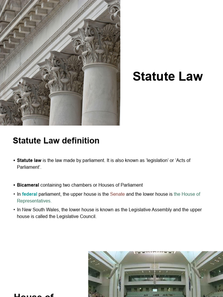 Statute Law | PDF