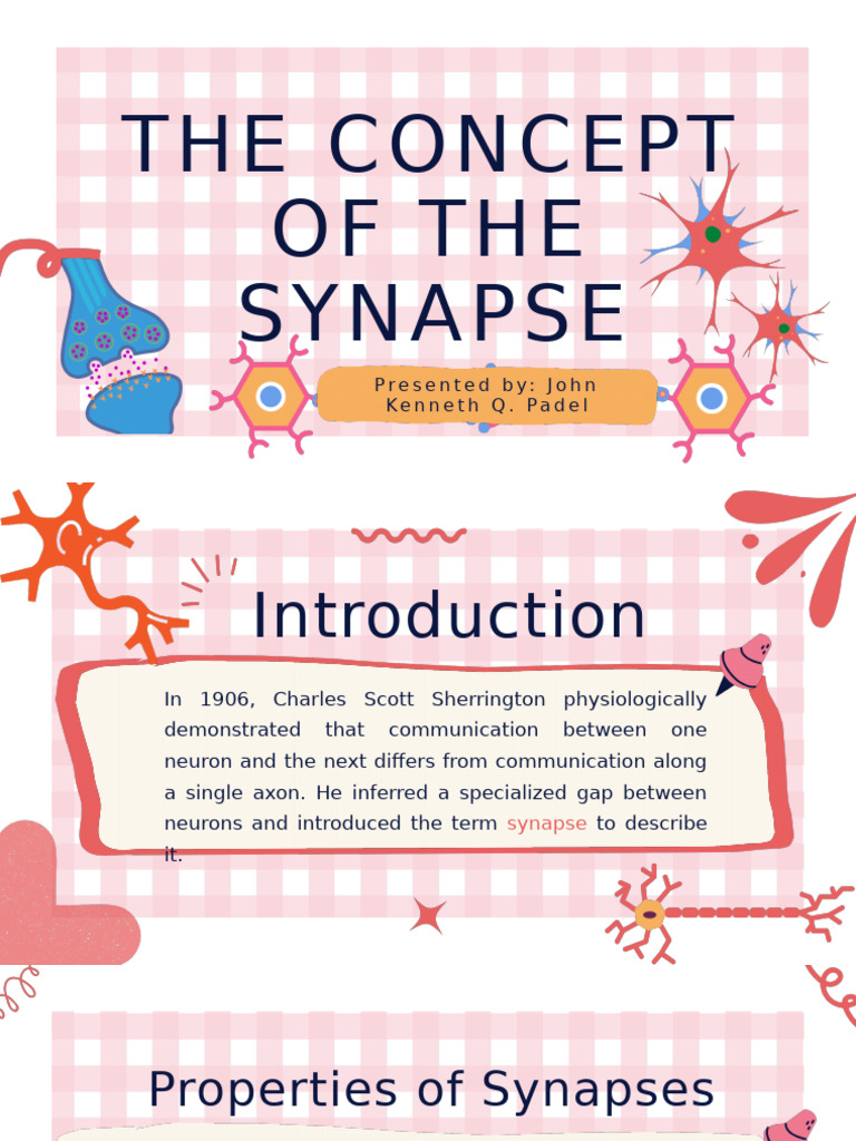 The Concept of Synapses | PDF | Inhibitory Postsynaptic Potential | Excitatory Postsynaptic ...