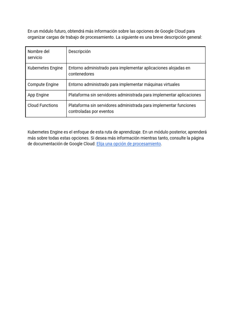 Computing Options - Es-419 | PDF