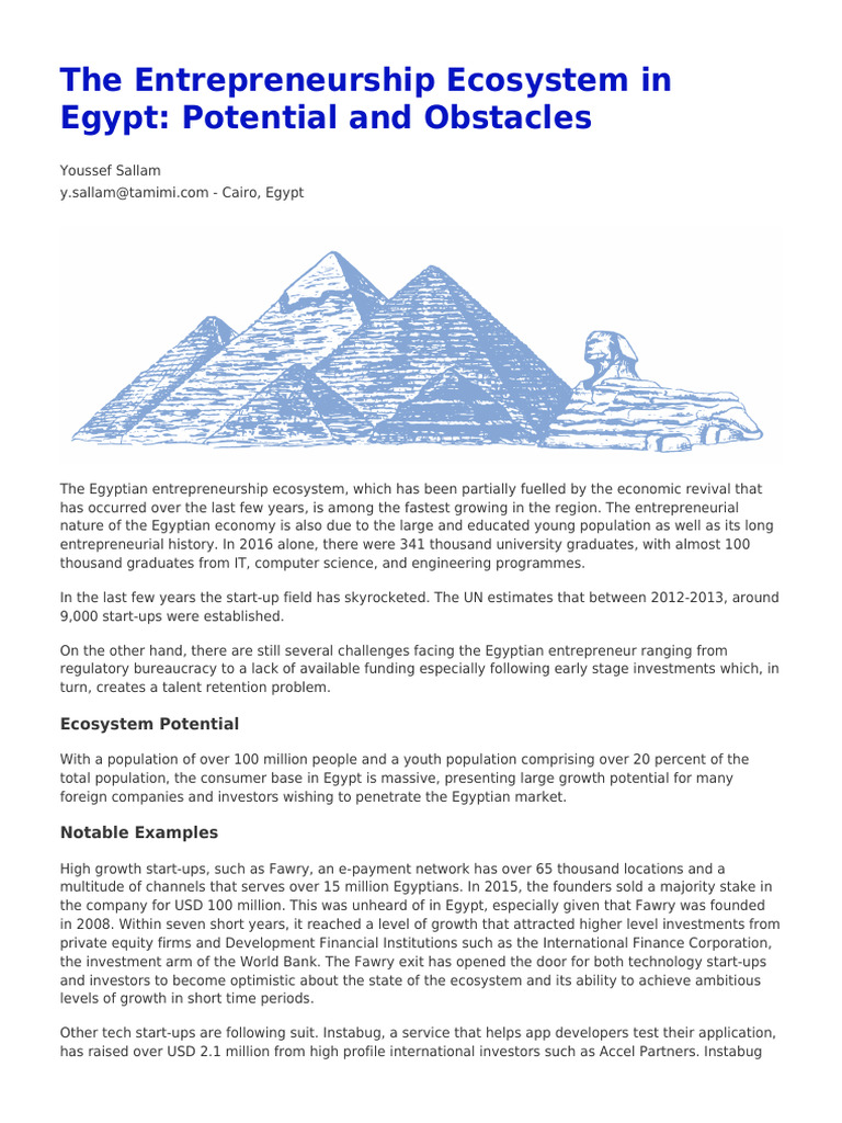 Egypt's Growing Startup Ecosystem | PDF | Startup Company | Small ...