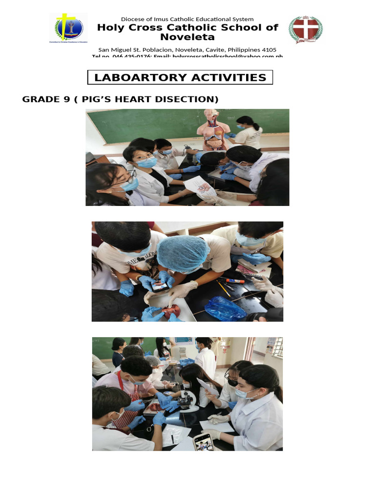 Laboratory Activities | PDF
