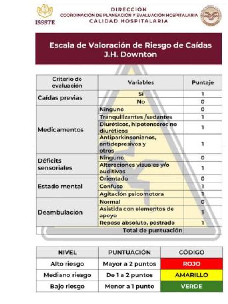 Escala de Caidas | PDF