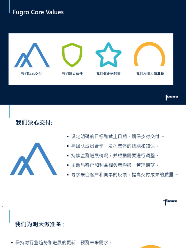 Fugro Core Values - CHI - S | PDF