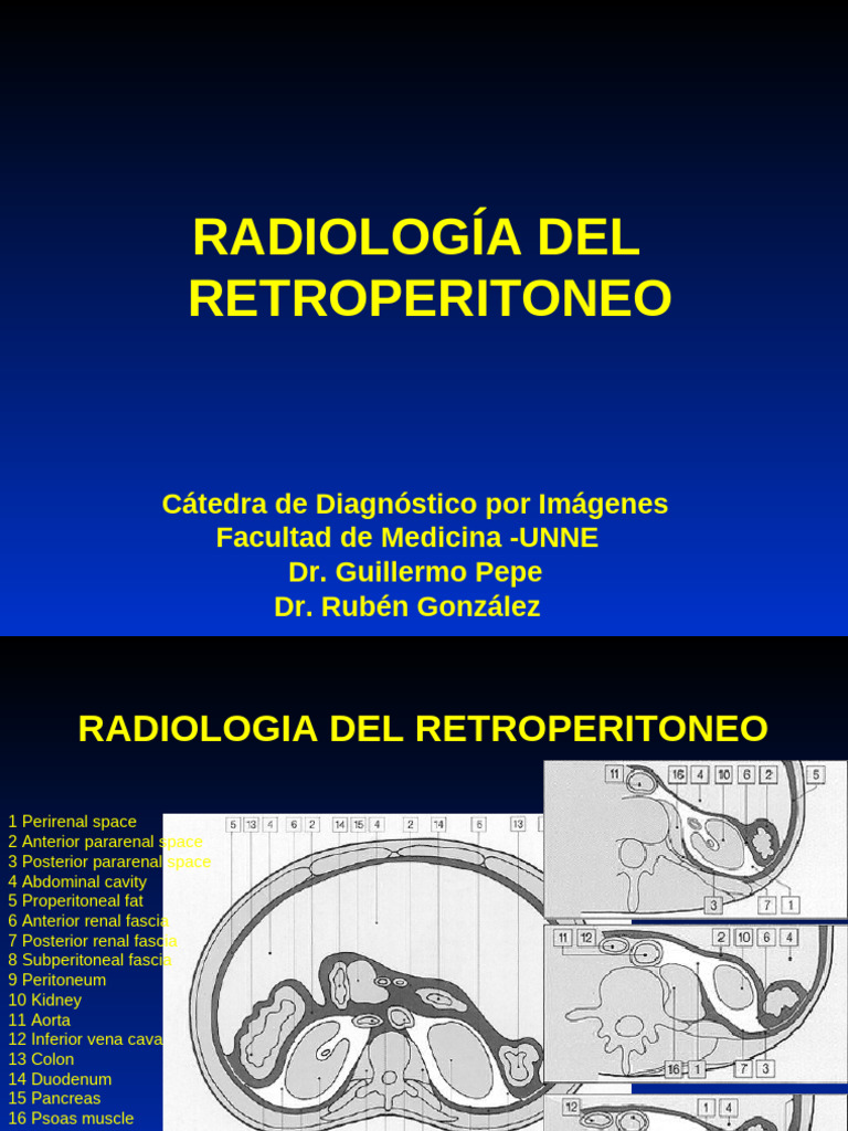 5.6 Retroperitoneo | PDF | Riñón | Páncreas